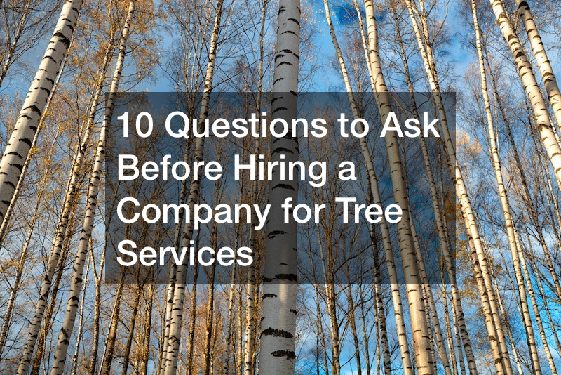10 Questions To Ask Before Hiring A Company For Tree Services Pruning 10-questions-to-ask-before-hiring-a-company-for-tree-services-pruning