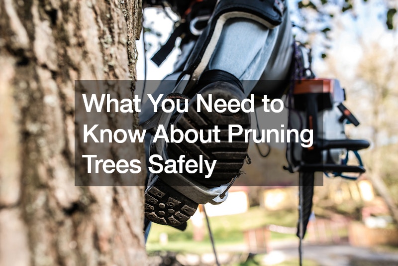 What You Need to Know About Pruning Trees Safely - Pruning Automation