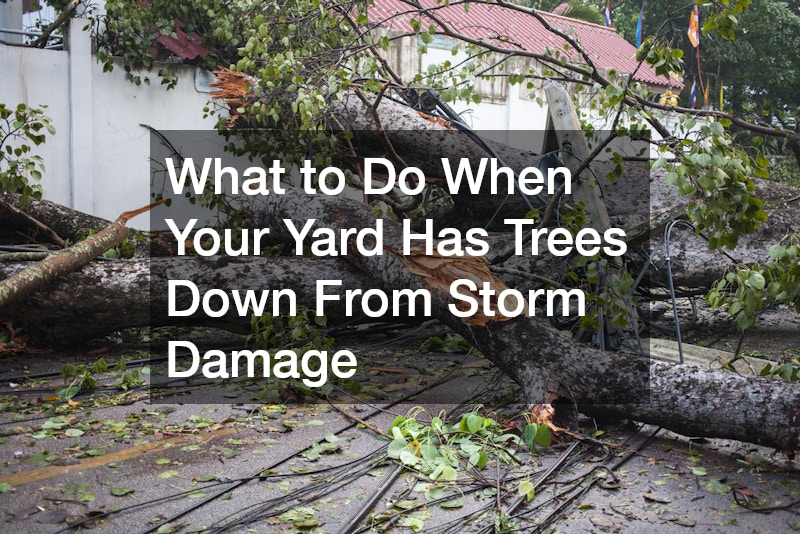 What to Do When Your Yard Has Trees Down From Storm Damage - Pruning ...