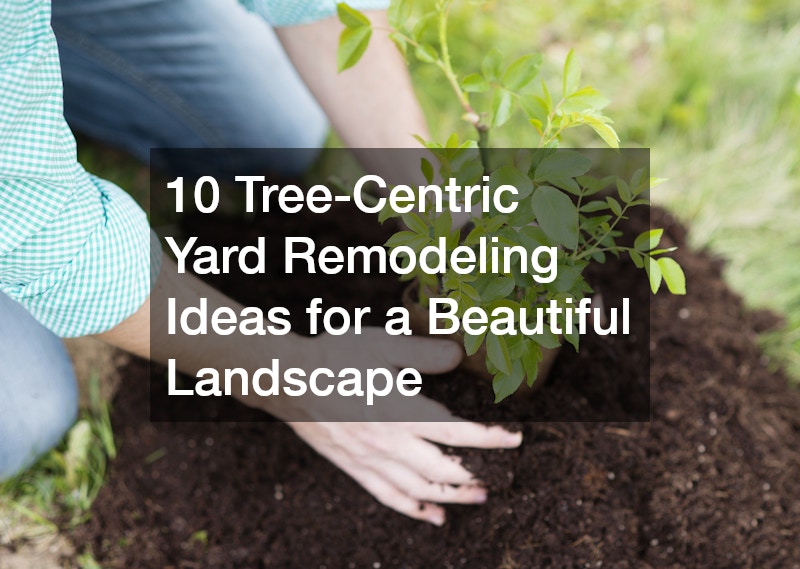 10 Tree-Centric Yard Remodeling Ideas for a Beautiful Landscape ...